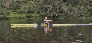 Applying biomechanics: An analysis of the rowing stroke using force ...
