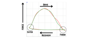 Applying biomechanics: An analysis of the rowing stroke using force ...